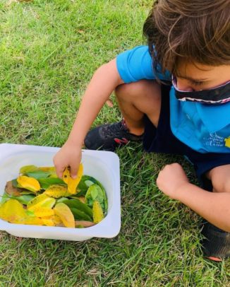 Programs – Once Upon A Time Preschool